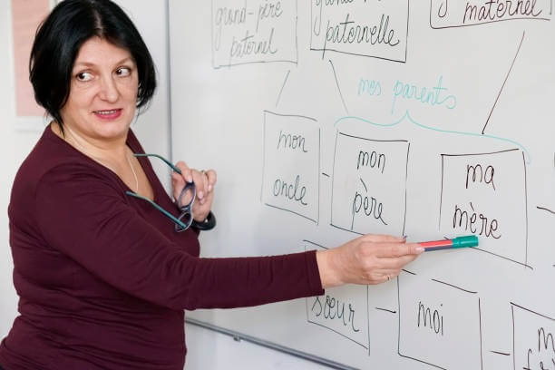 French C1 and C2 Course | Proficiency Course in French